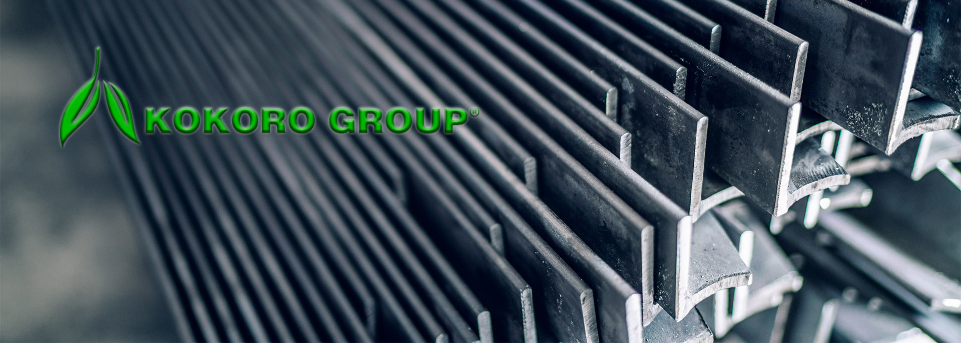 TRANG CHỦ - Kokoro Steel
